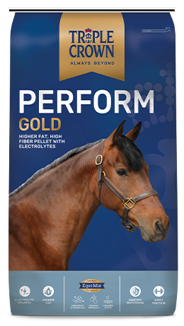 TRIPLE CROWN PERFORM GOLD - Salem, NH - Dodge Grain Co.